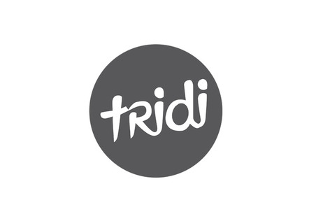 Tridi - TechOne Venture Capital – Smart Capital Fund
